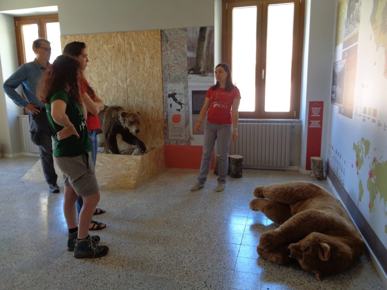 The Pizzone Bear Museum has reopened its doors! | Salviamo l'Orso